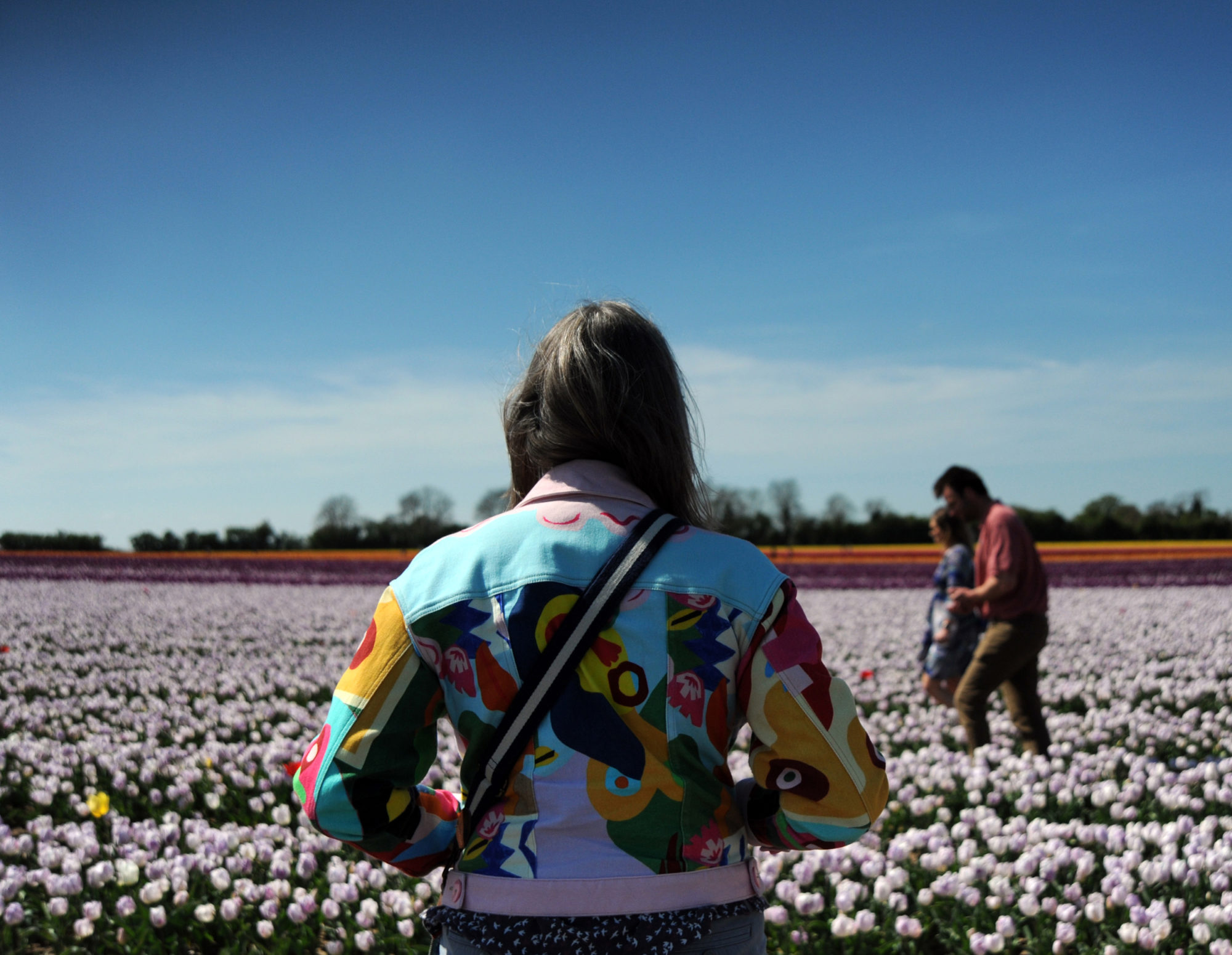 ENGLAND: Tulips for Tapping, Norfolk - I Don't Like Peas